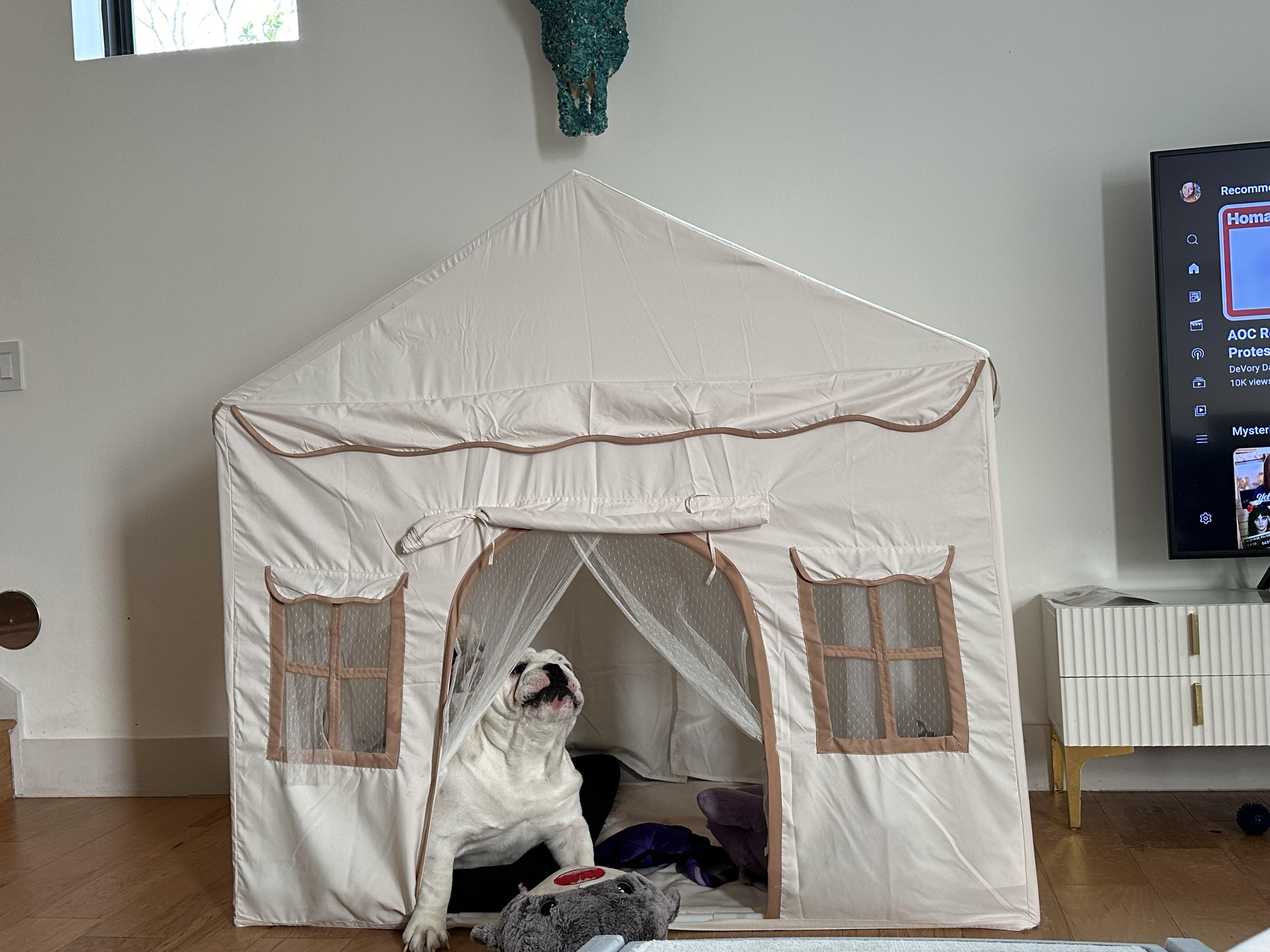 Kiddie playhouse is now king Ollie’s palace! (Best midnight Amazon splirge ever) | Scrolller