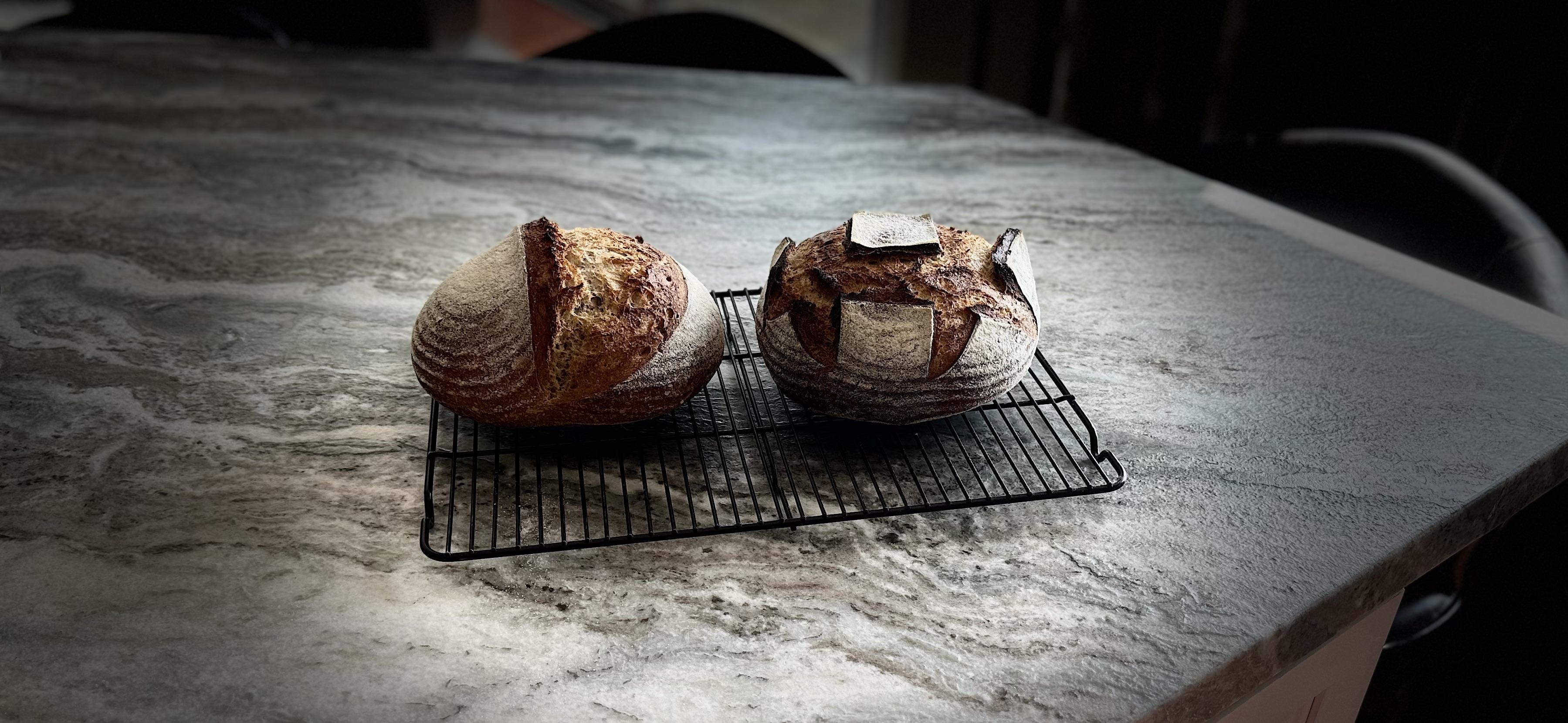 Couple of sourdough loaves | Scrolller