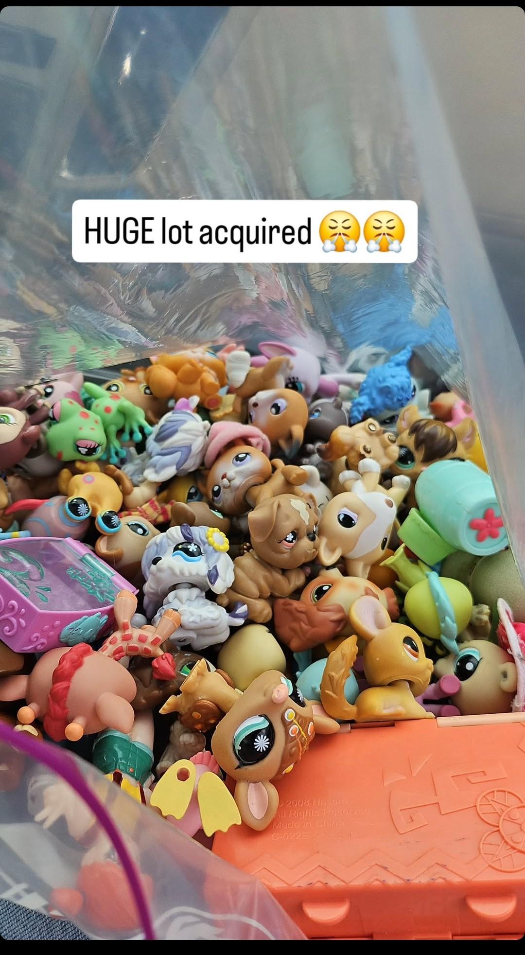 My huge haul ️ | Scrolller