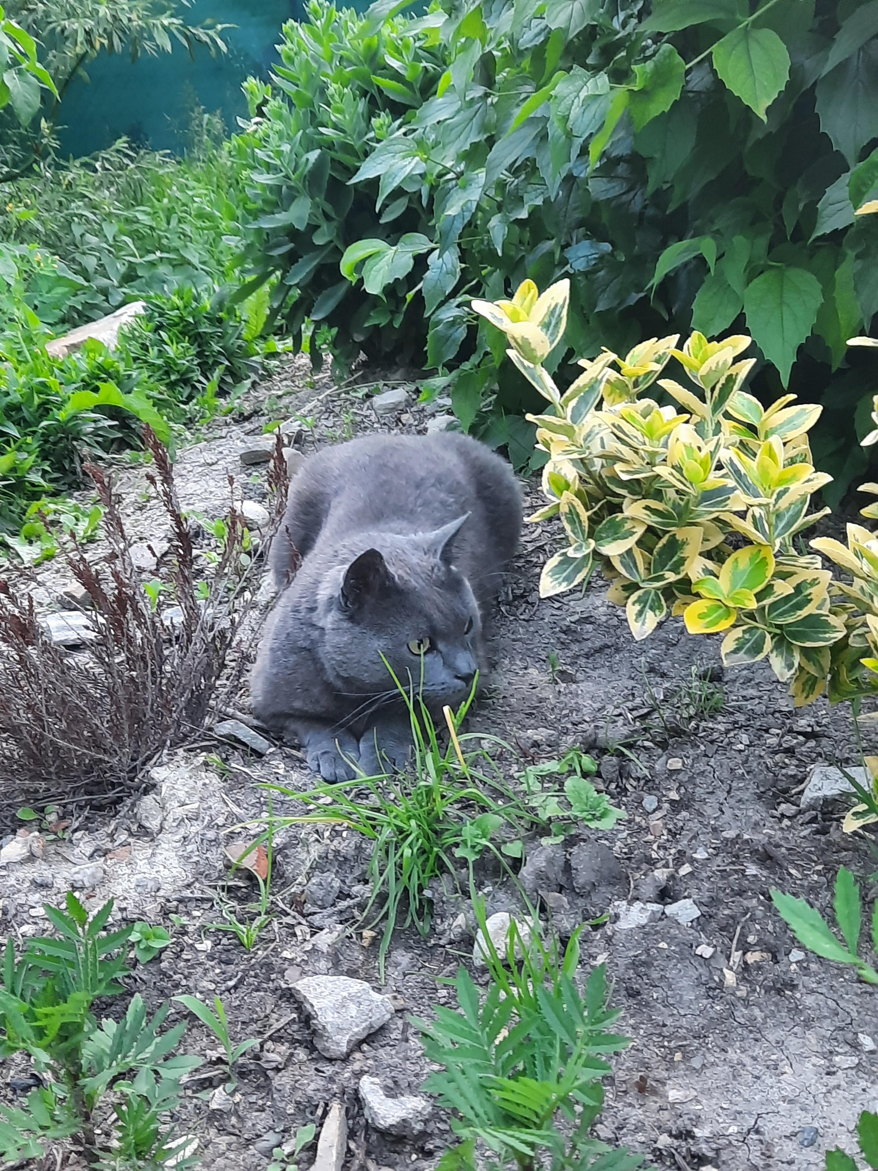 Garden loaf | Scrolller