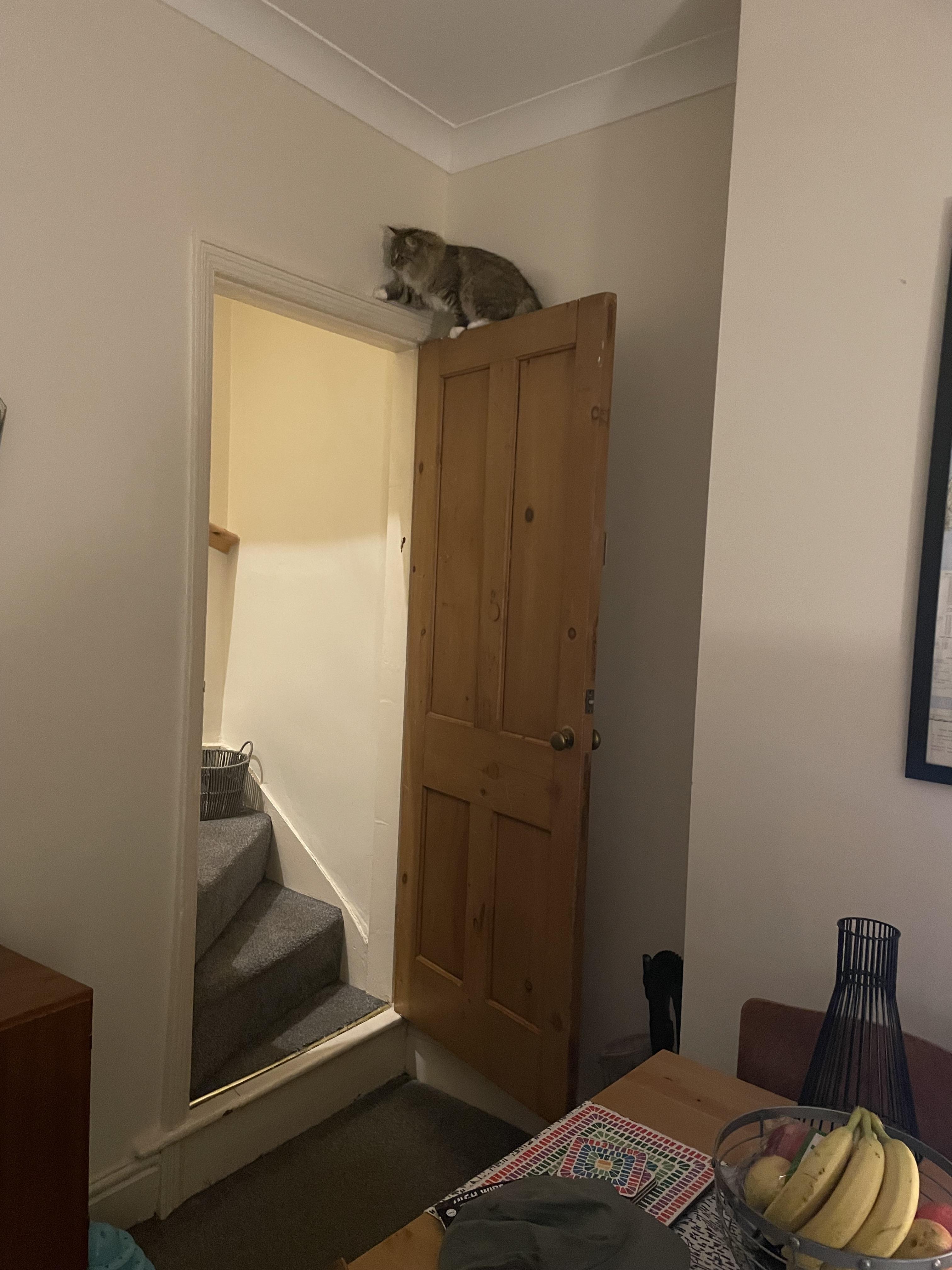 Inspecting door frames | Scrolller