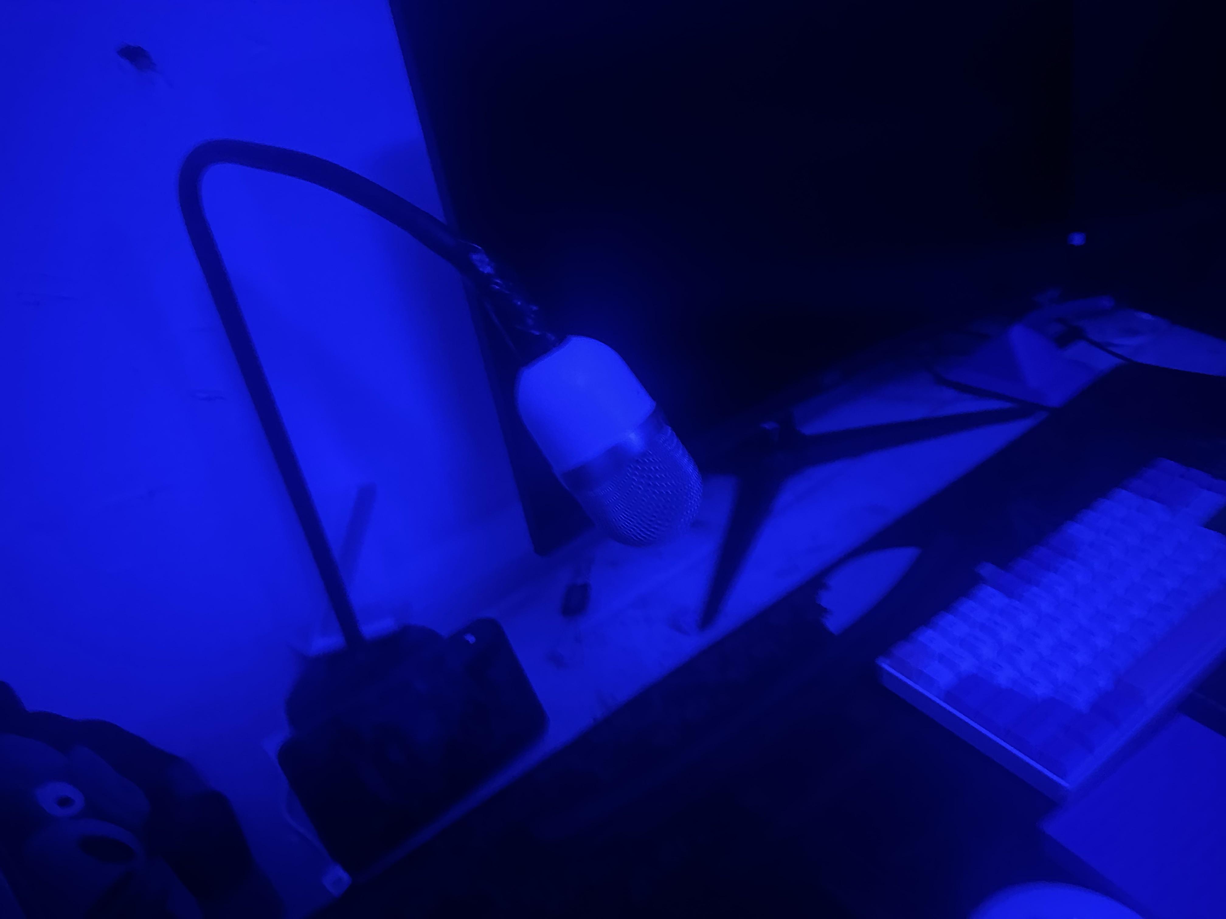 Is this average | Scrolller