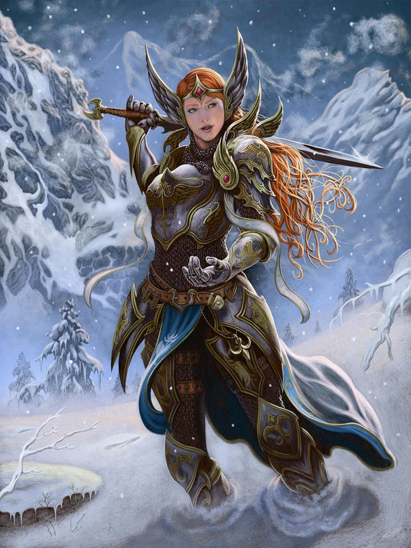 Paladin by malverro | Scrolller