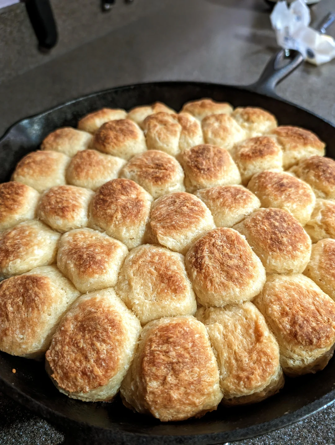 Overnight Yeast Biscuits | Scrolller