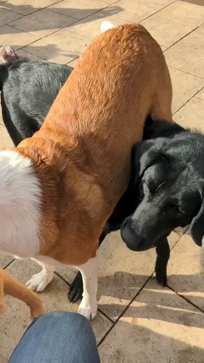 Penny's legs aren't even on the ground | Scrolller