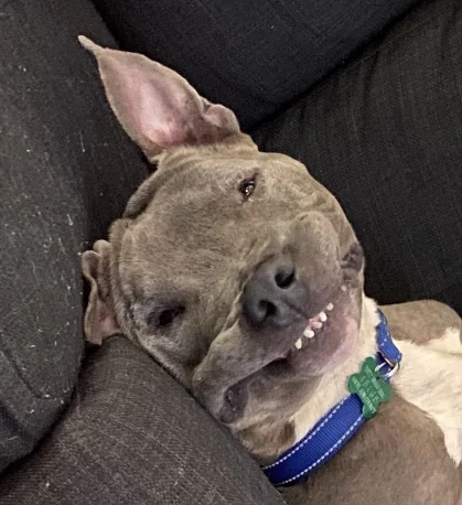 *nasal breathing intensifies* | Scrolller