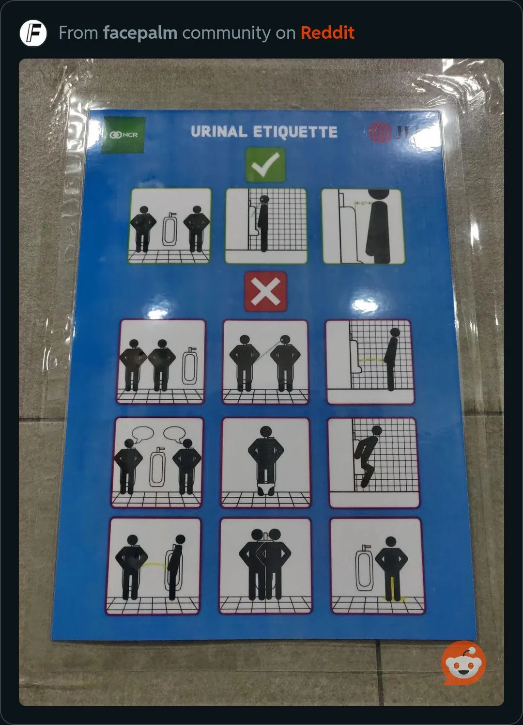 The do’s and dont’s of proper toilet etiquette. | Scrolller