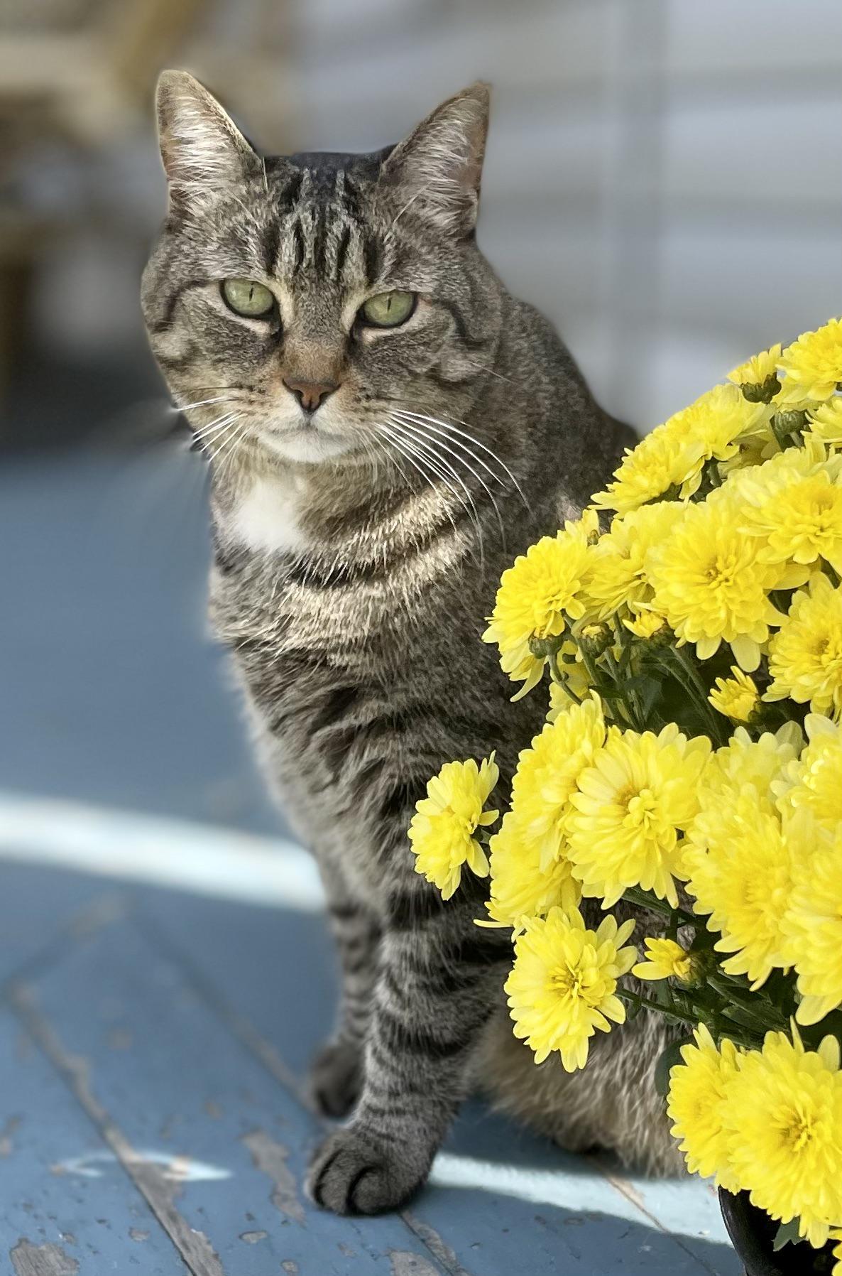 Fall 2025 Catalog | Scrolller