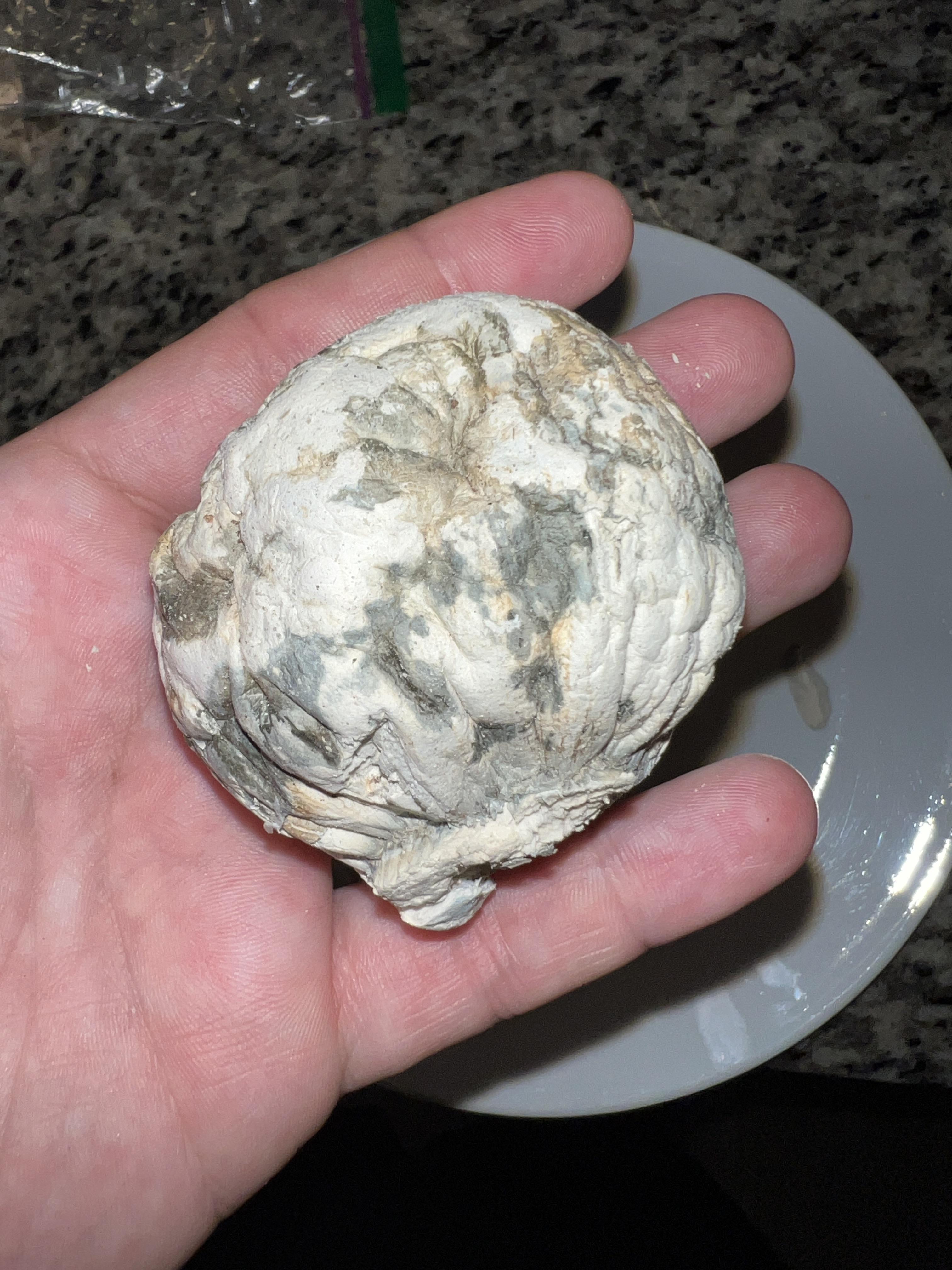 Giant blob | Scrolller