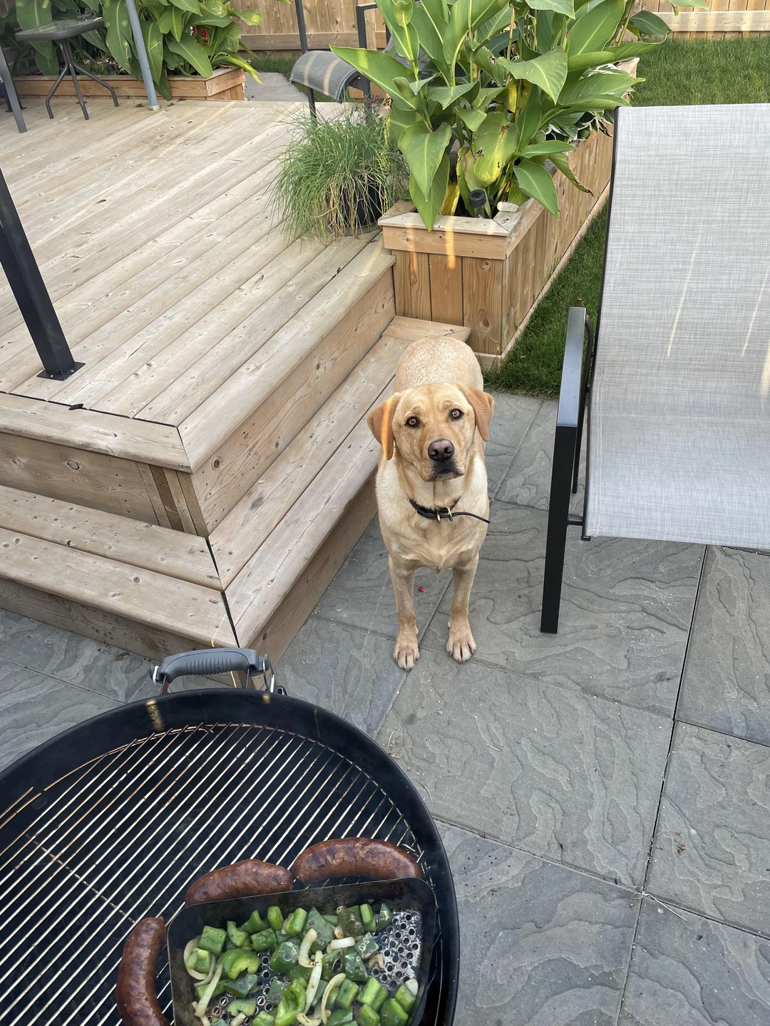 My cook supervisor. | Scrolller