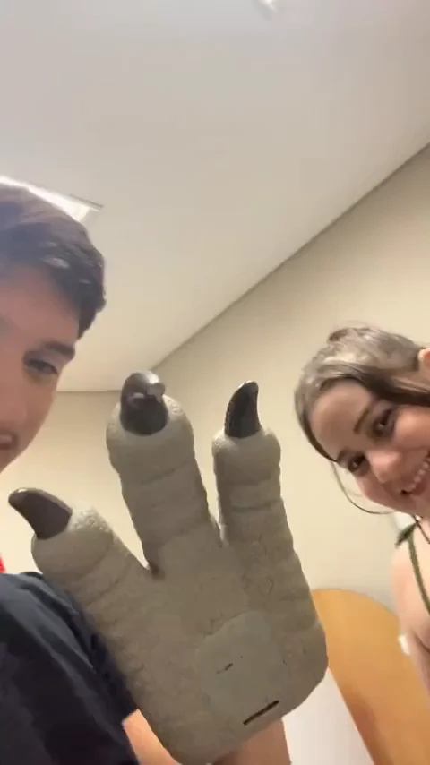 Like a glove | Scrolller