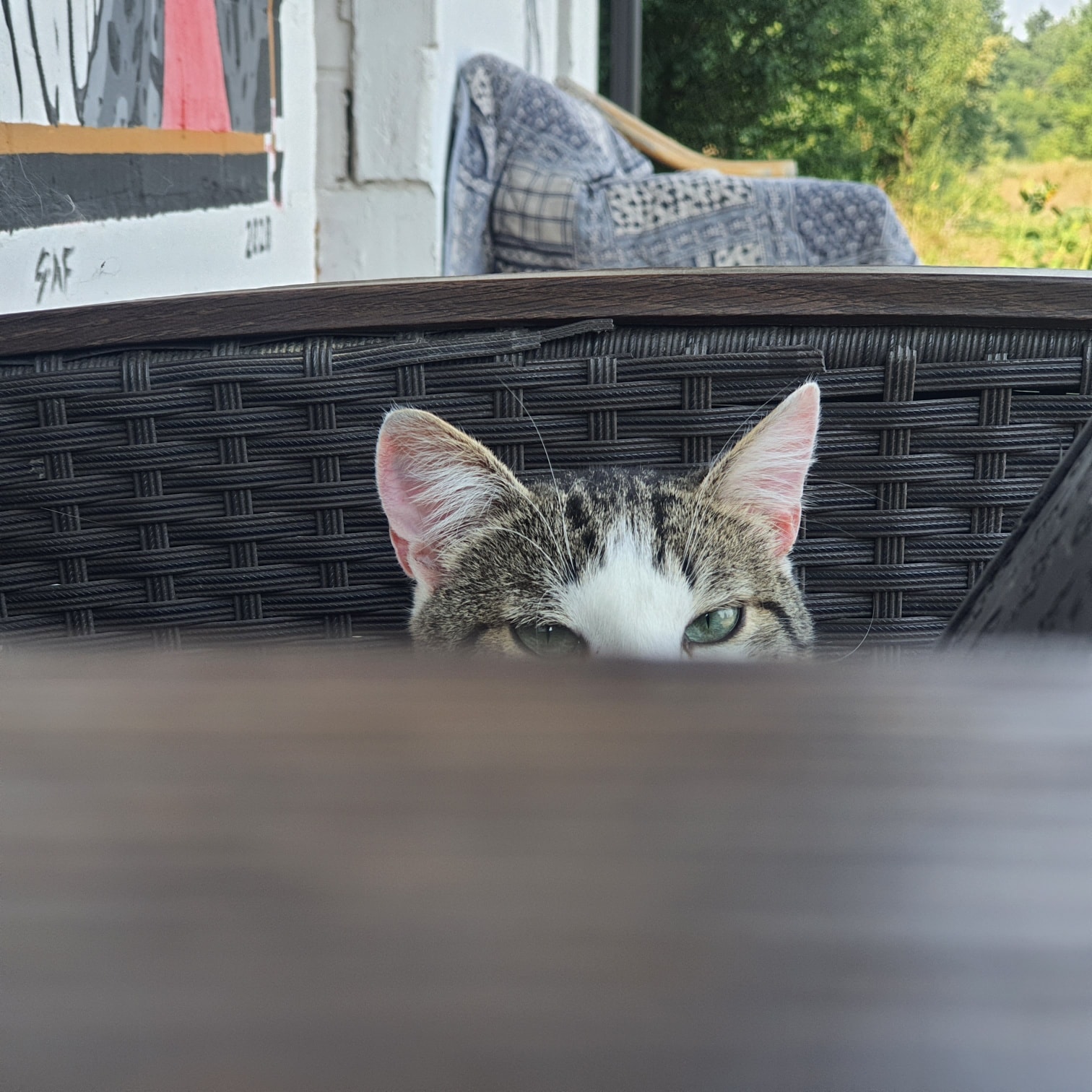 Hello there | Scrolller