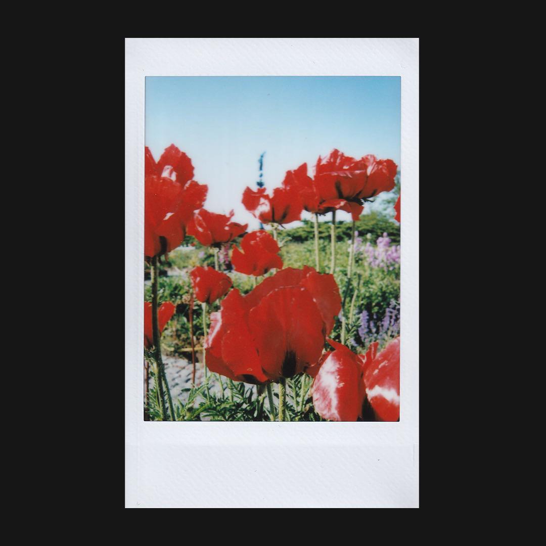 Copenhagen | Mini 90 | Scrolller