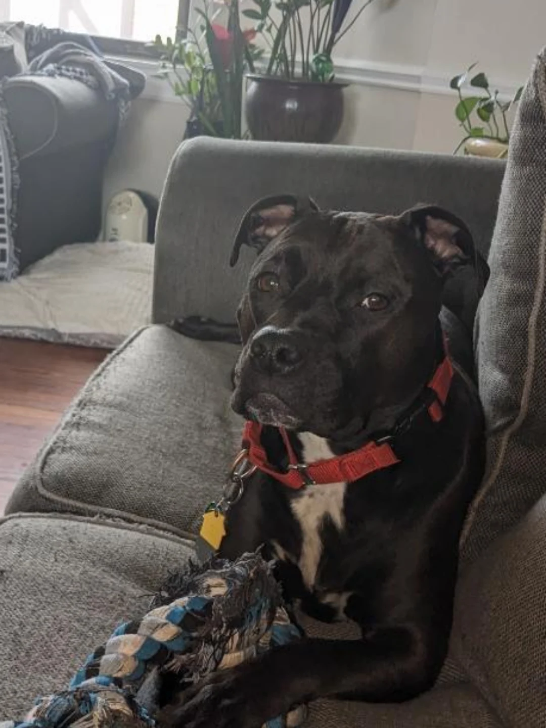 the judgment 💀 | Scrolller