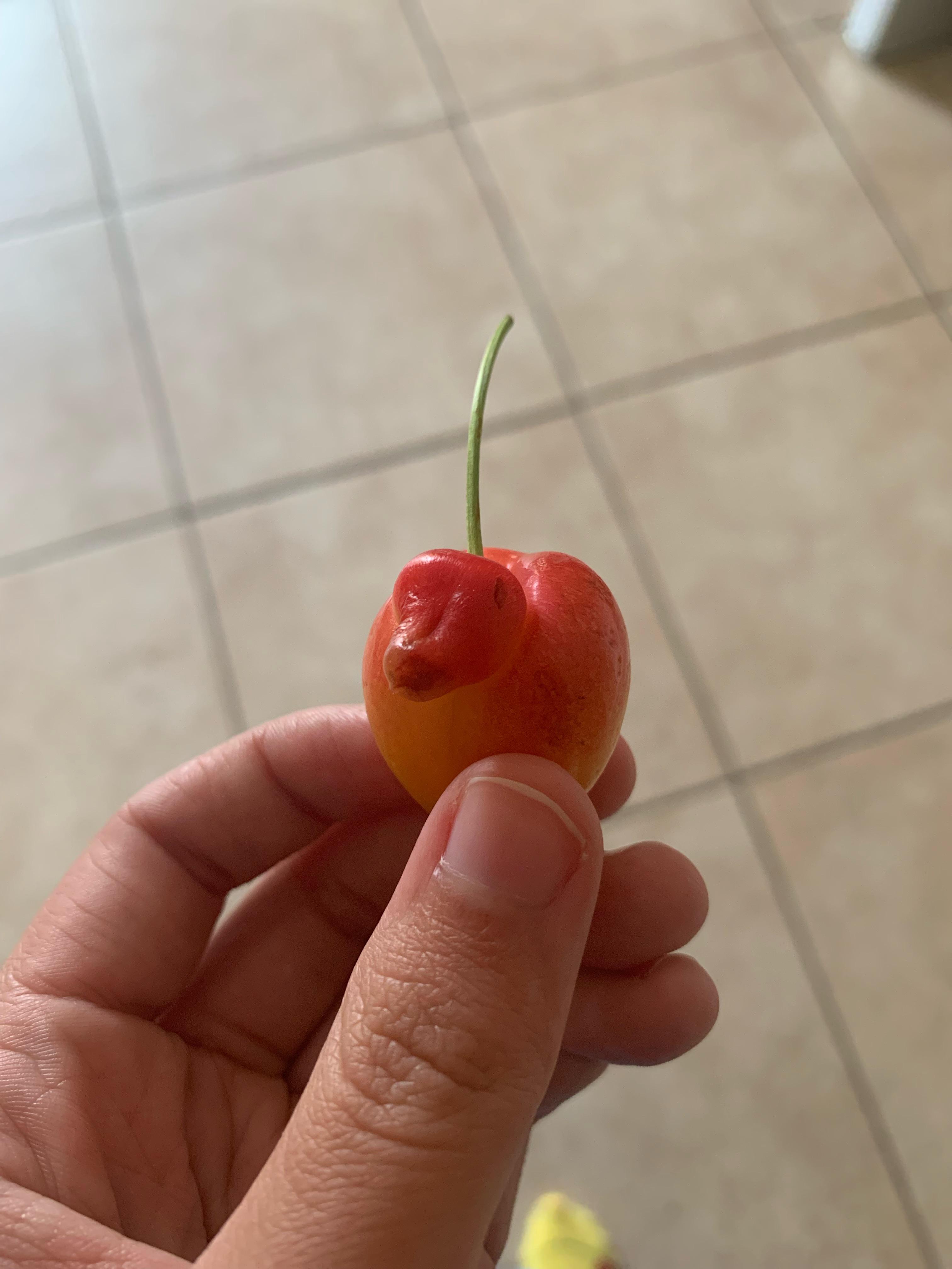 This cherry | Scrolller