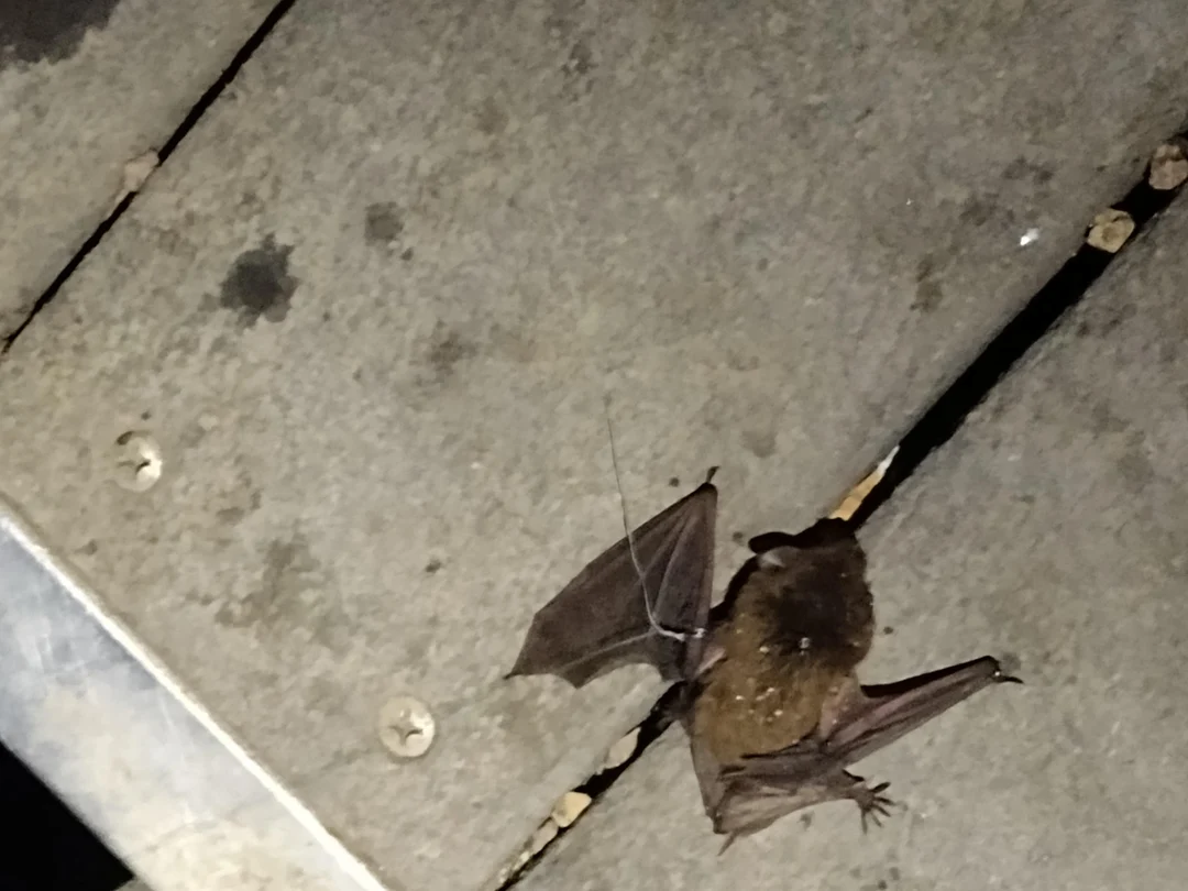 New PB?!? | Scrolller