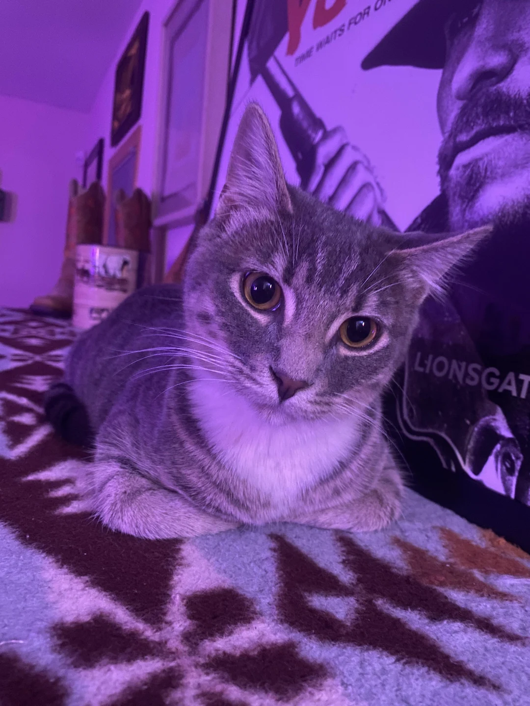 Fresh outta the oven | Scrolller