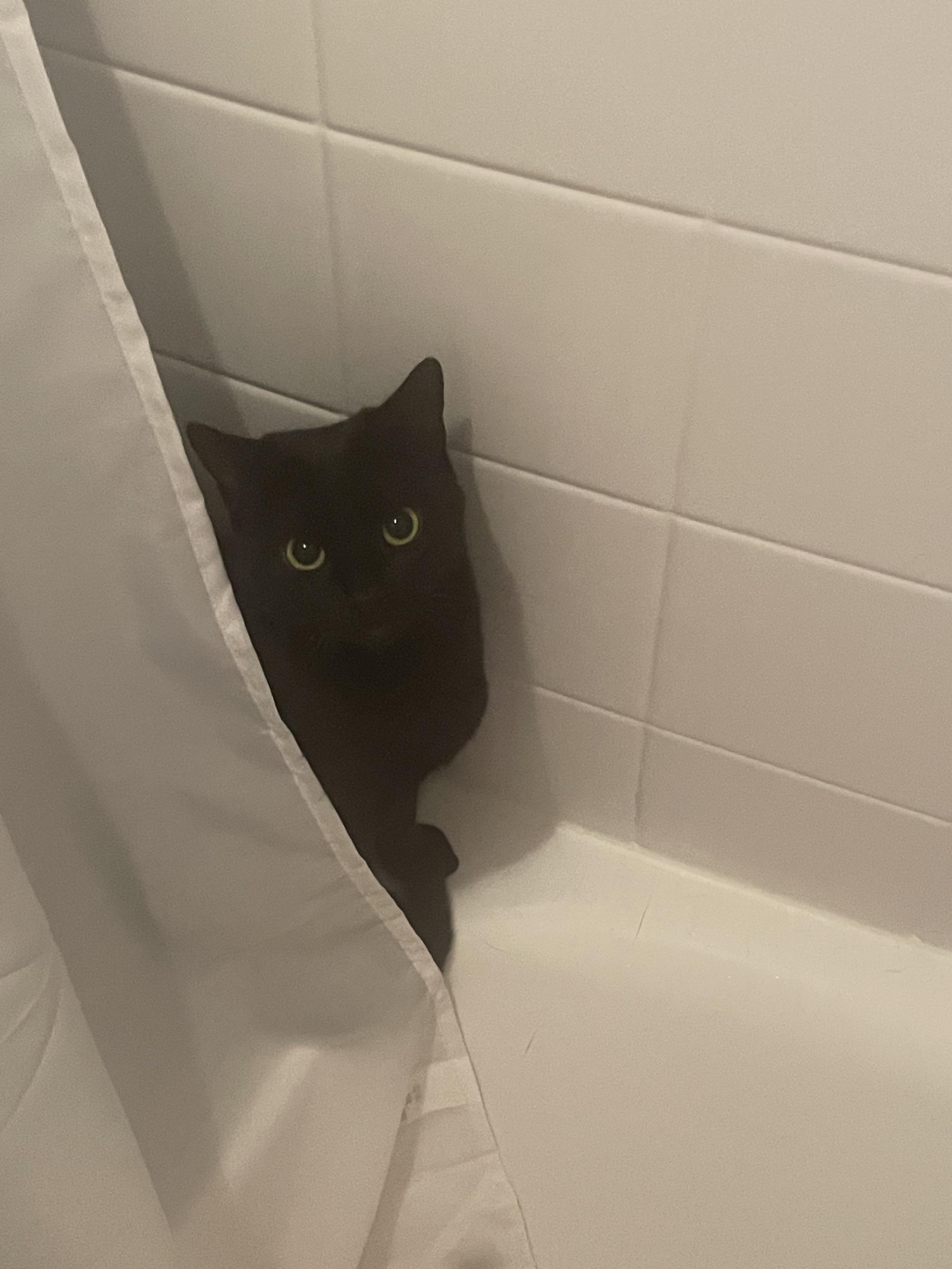 Such a creeper | Scrolller