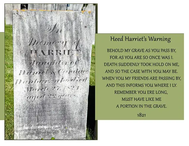 Harriet's Warning | Scrolller