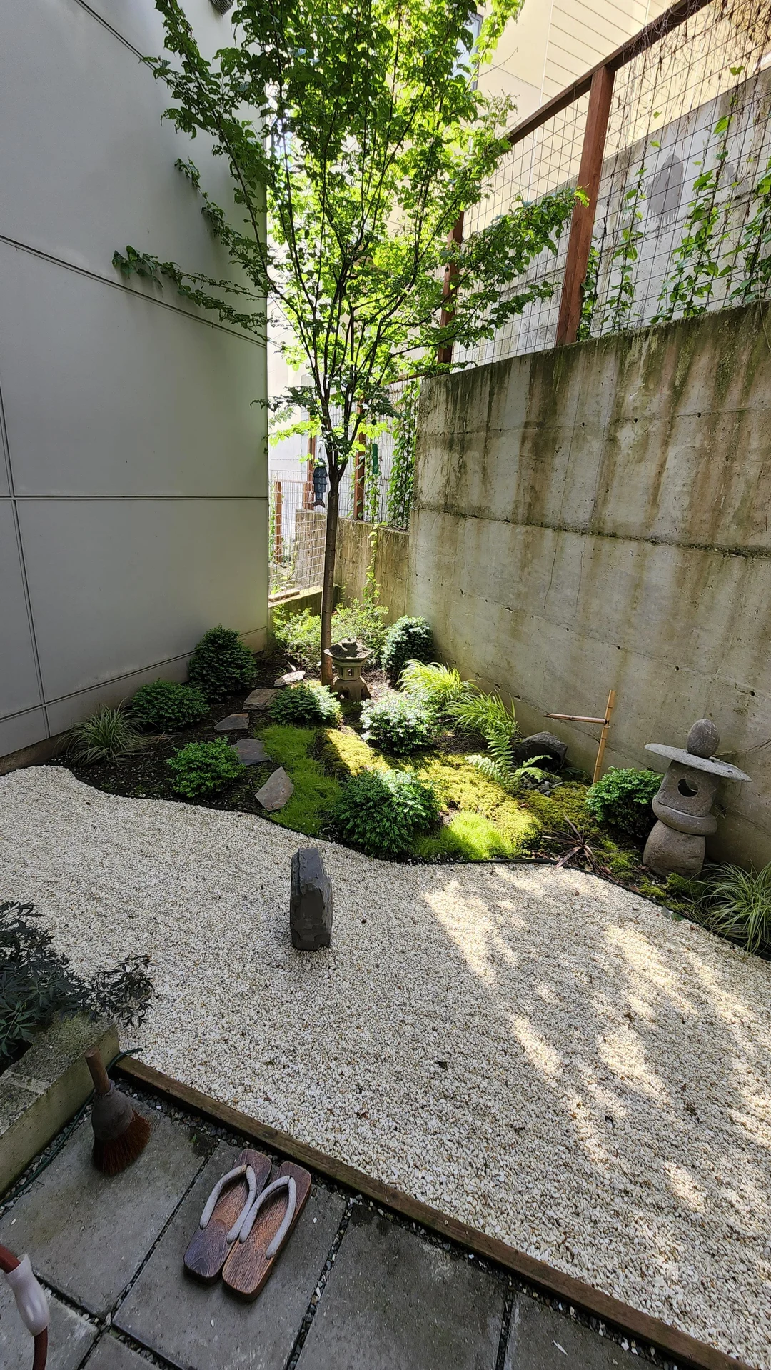 My backyard Zen Garden in the morning sunshine | Scrolller