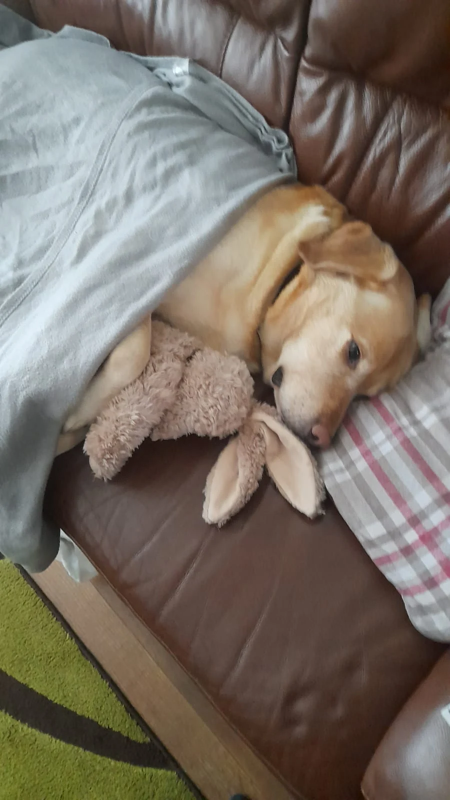 How is this comfortable? | Scrolller