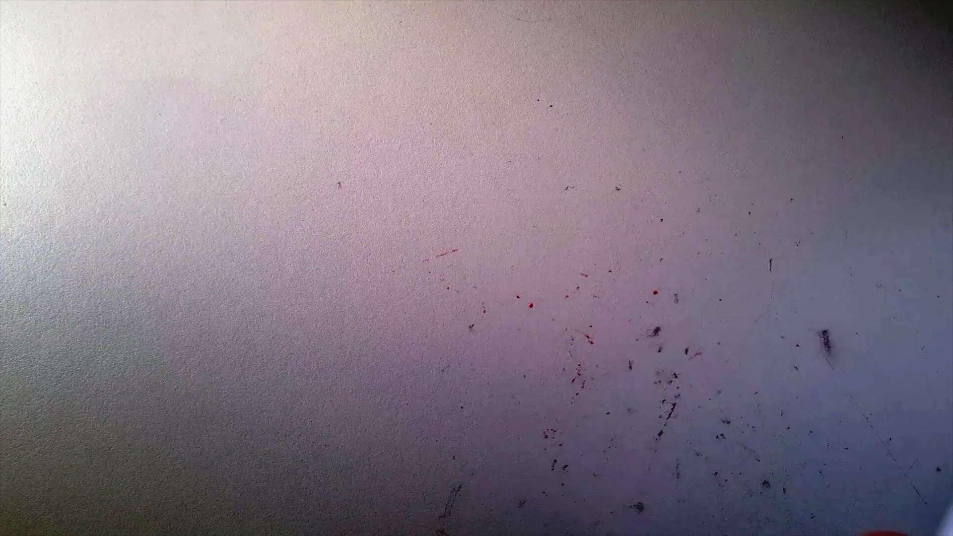 Dandelion knight, Jean | Scrolller