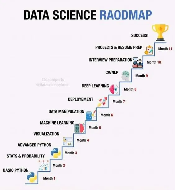 Data Science Roadmap for Beginners | Scrolller