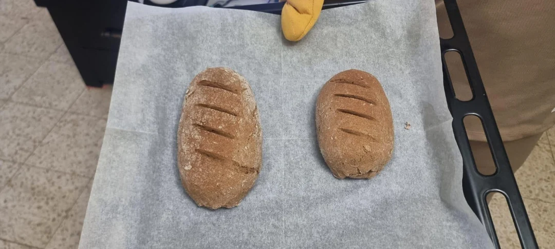 One of my creations (still a beginner) | Scrolller