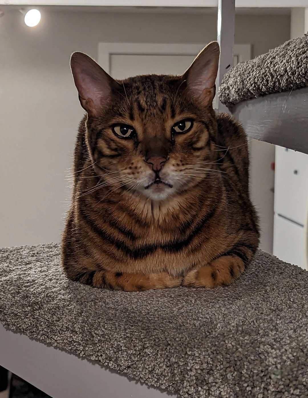 Vacation Loaf | Scrolller