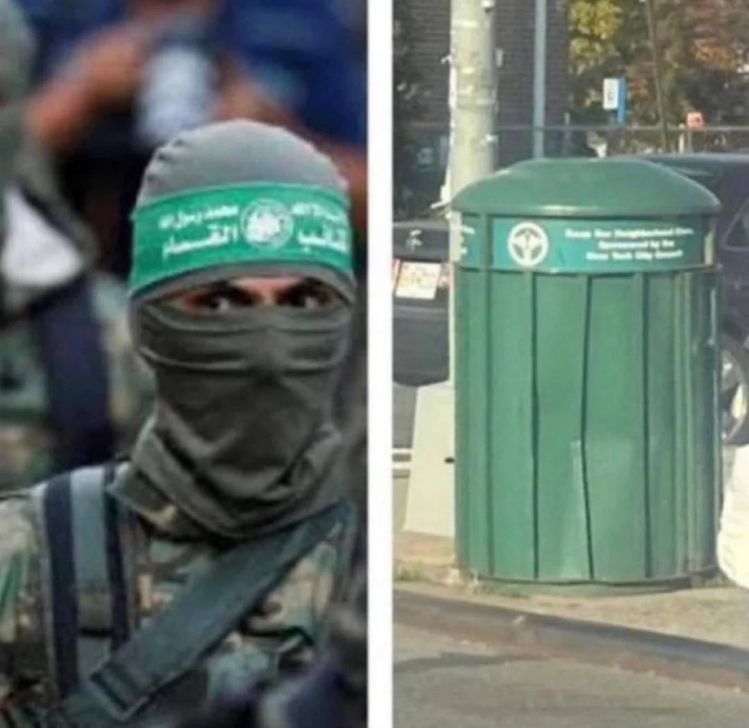 Spot the difference | Scrolller