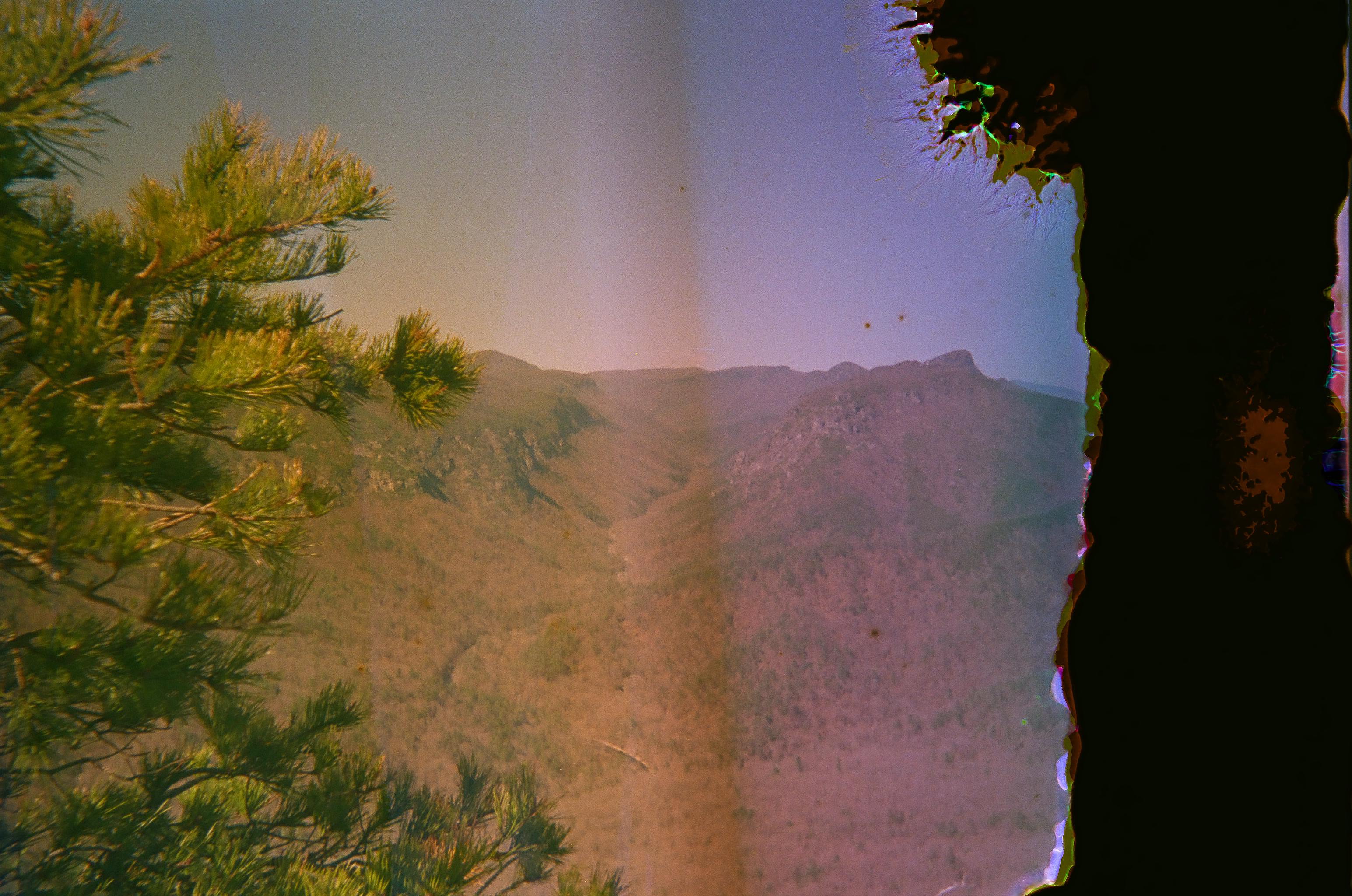 Dropped my camera in a river | Kodak Disposable | Fixed lens | Kodak Gold 400 | Scrolller