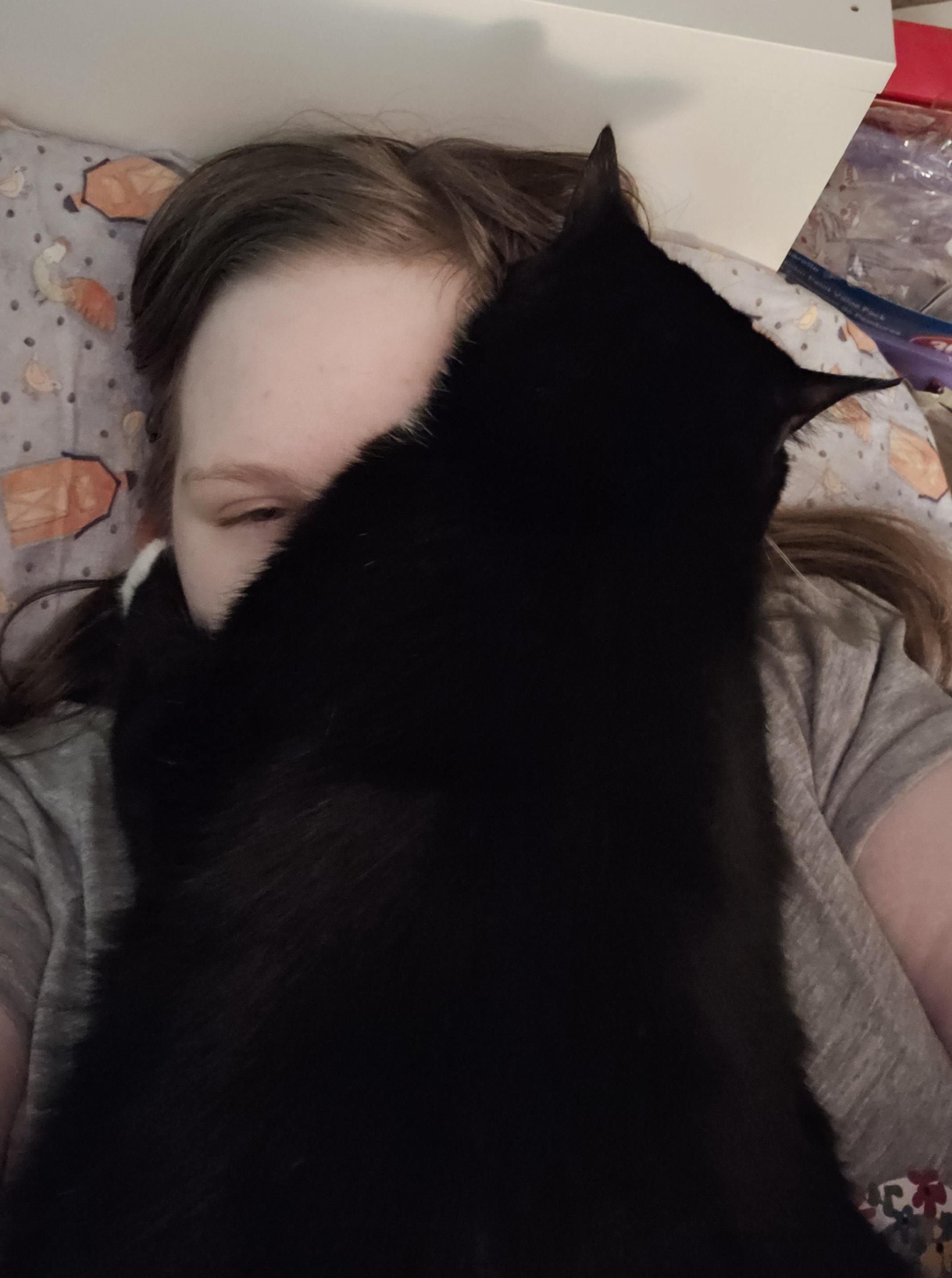 Squishy wants to lay on my face. I do not want Squishy to lay on my face. | Scrolller