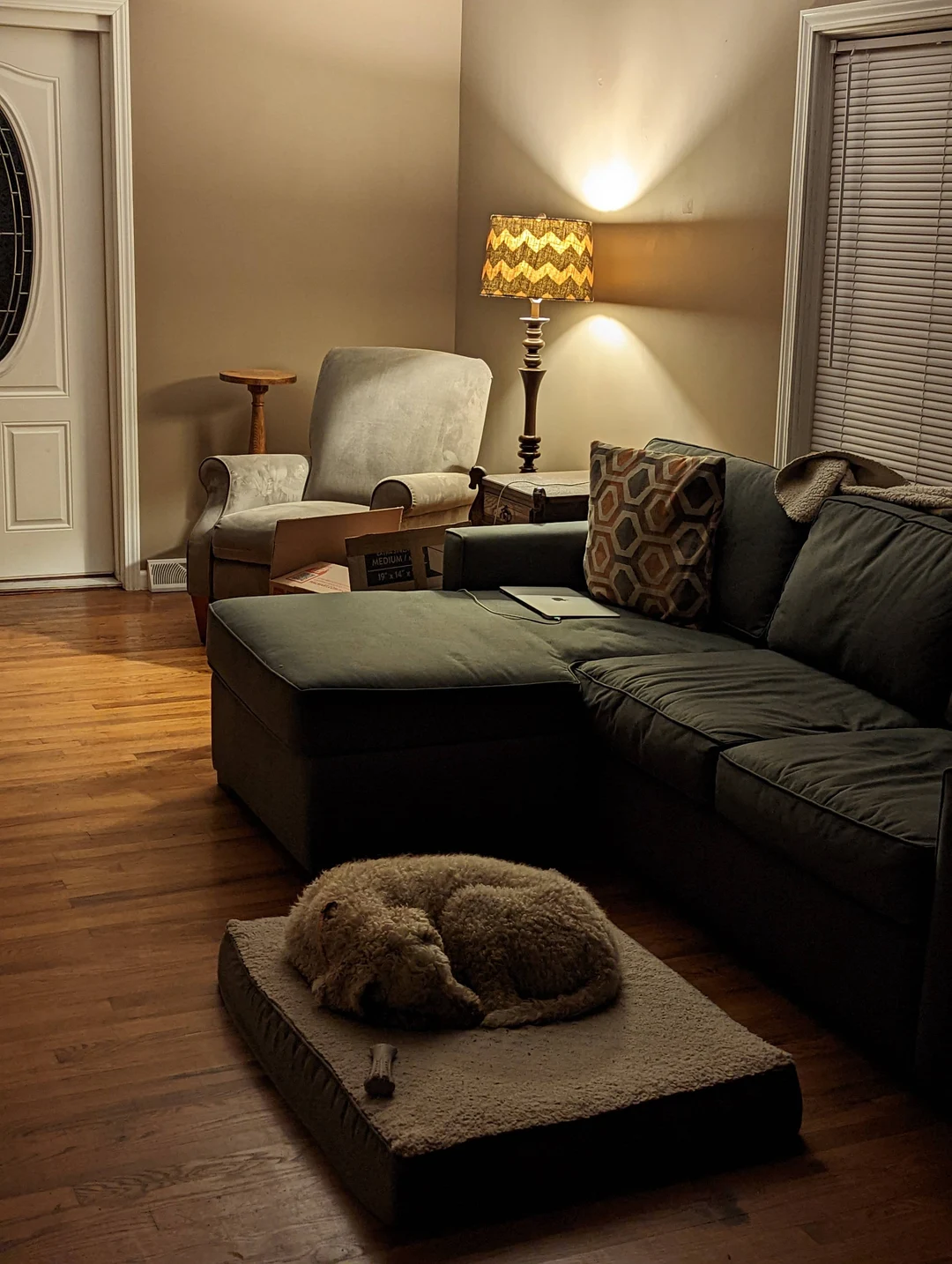 Tired pup after a long day off moving into a new place | Scrolller