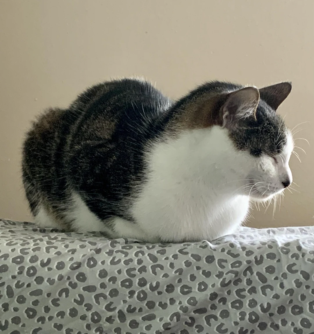 Sun loaf 🌞 | Scrolller