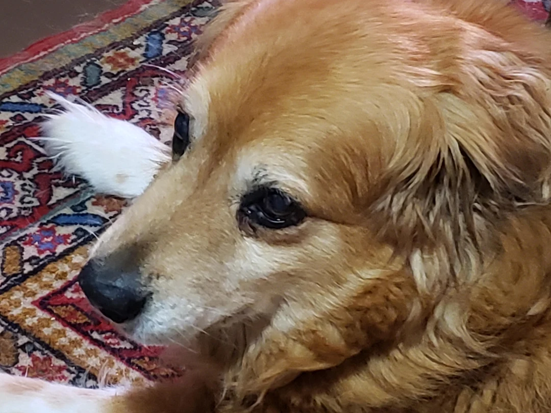 Goodbye brother | Scrolller