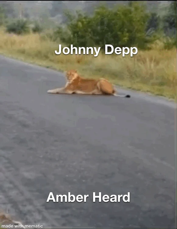 Amber on her way to Johnny’s bed | Scrolller