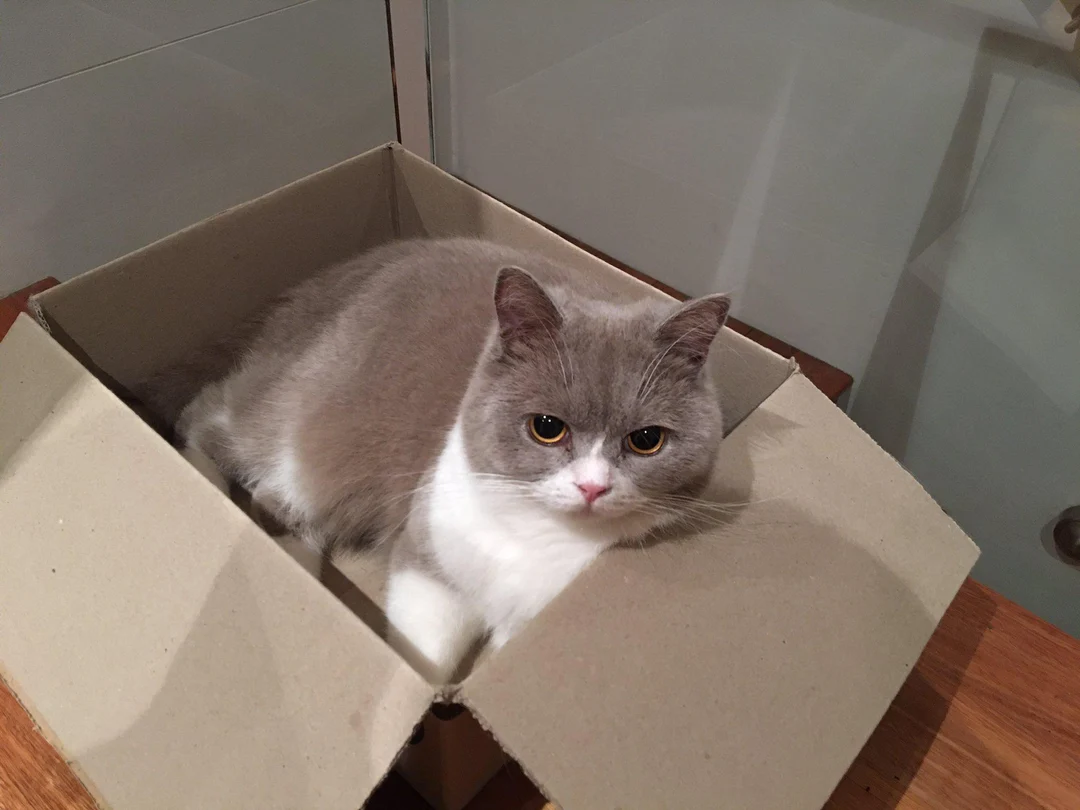 There’s no escape | Scrolller