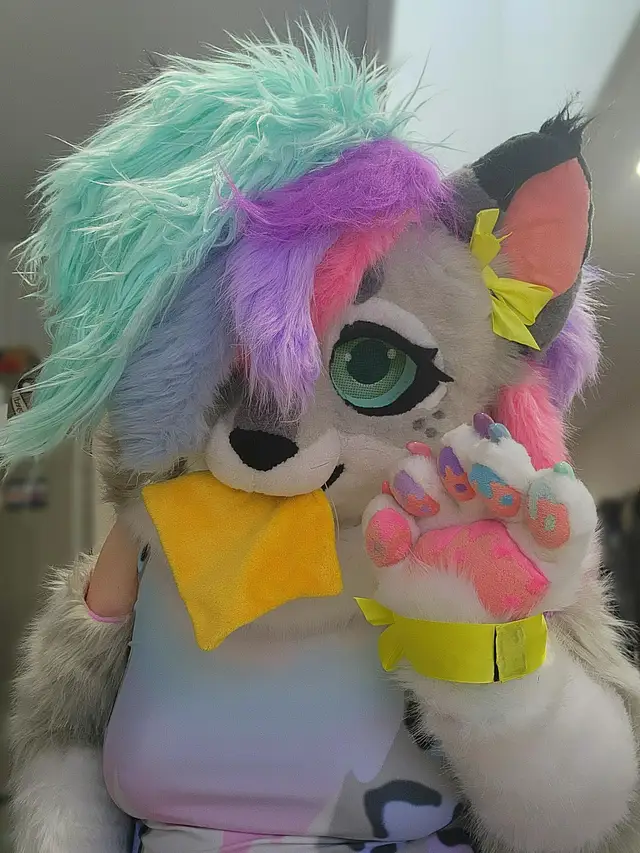 My first Fursuit Friday! | Scrolller
