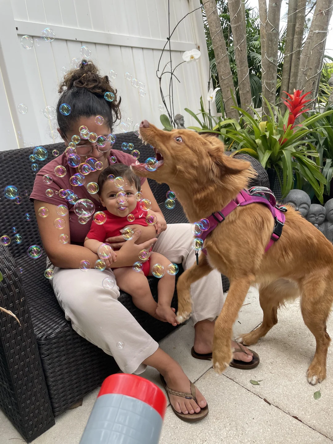 Daisy loves her bubbles | Scrolller