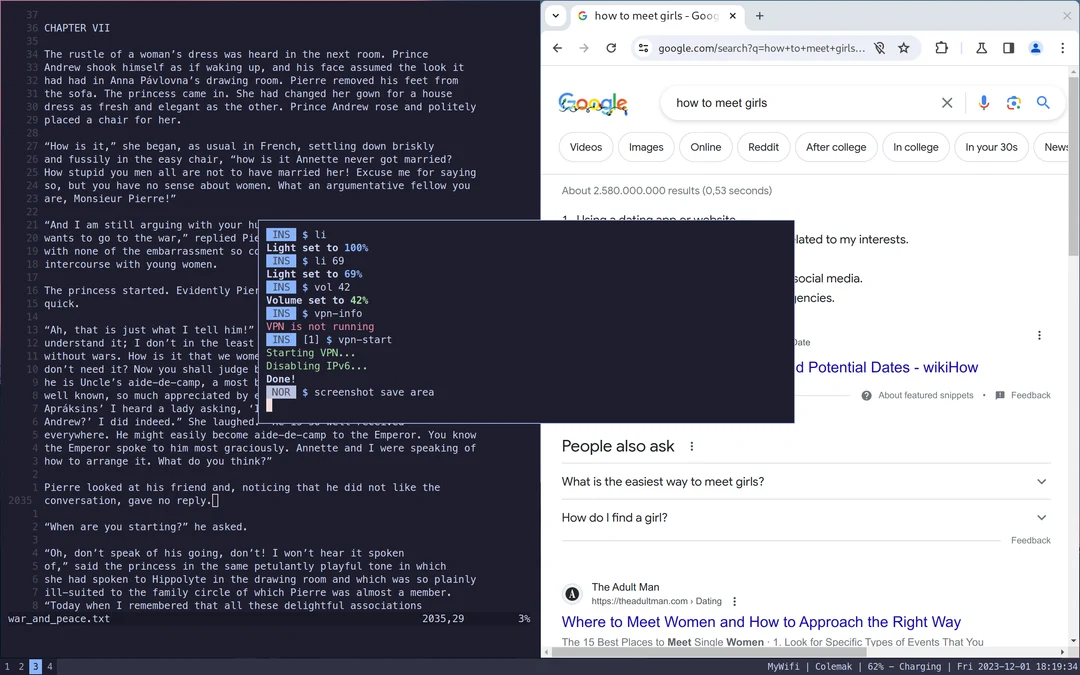 [Sway] Russian literature edition; Mouseless; App launcher is floating terminal in Vim mode ...