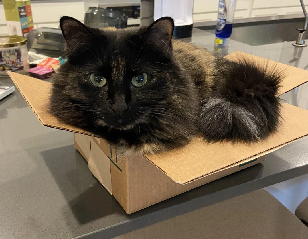 If she fits, she sits | Scrolller