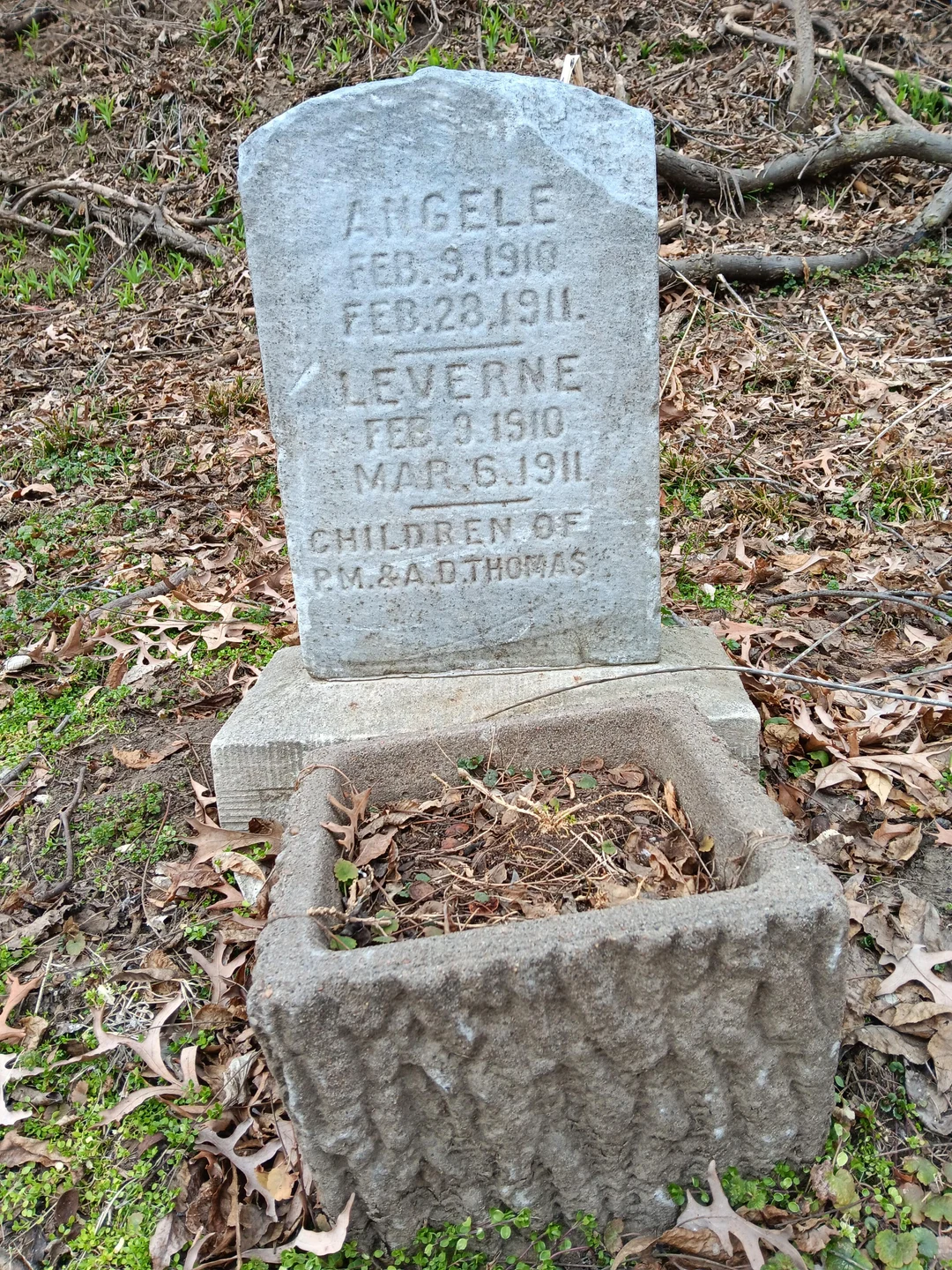 Angele and Leverne, 1 year old twins who passed around this time of year in 1911 | Scrolller
