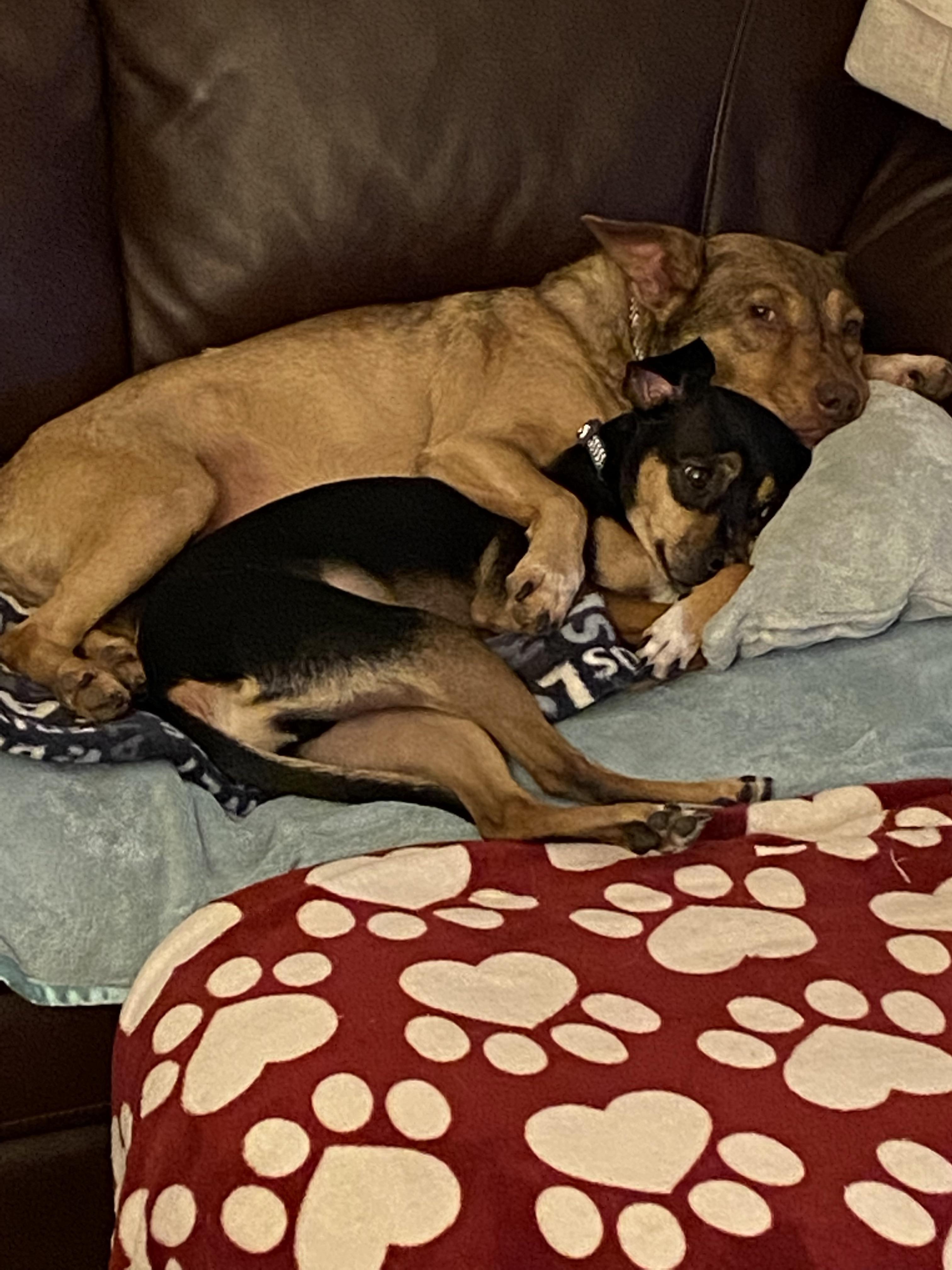 Best Buds | Scrolller