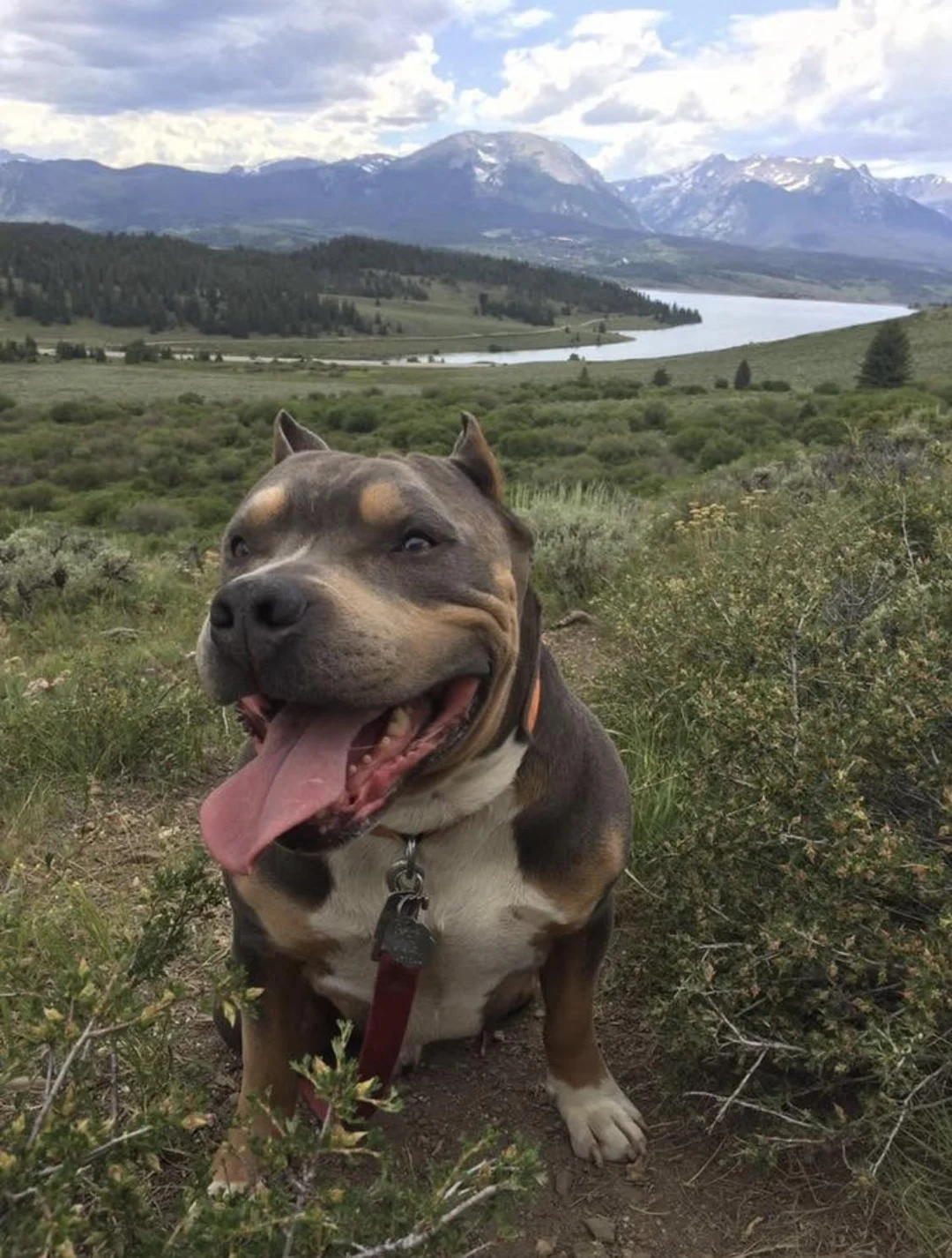 Discin with the best views | Scrolller