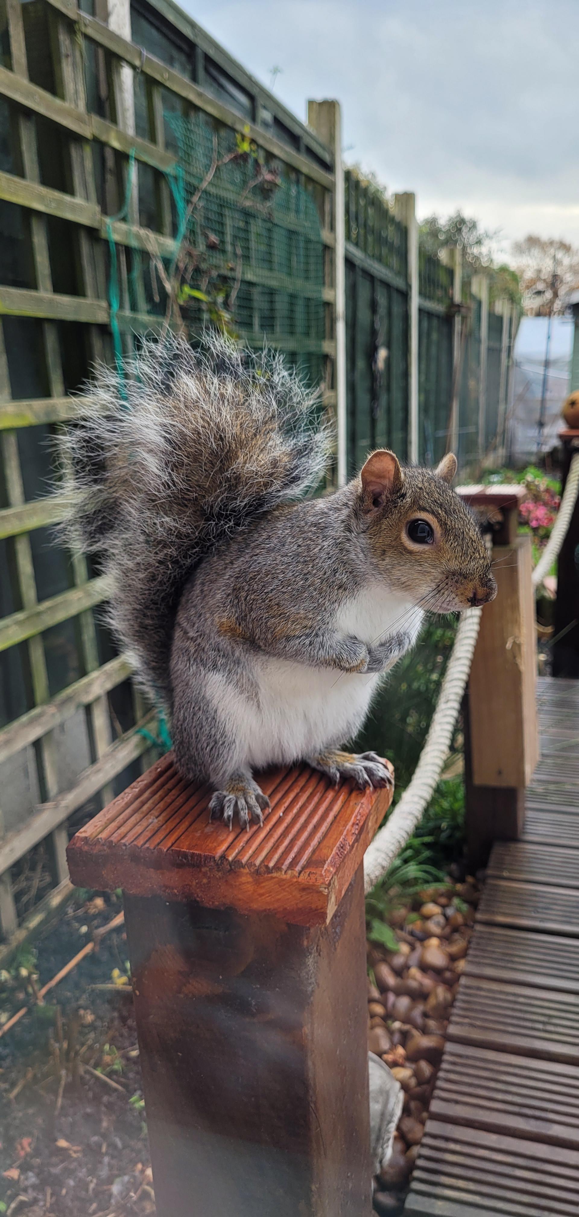 Greetings, human! | Scrolller