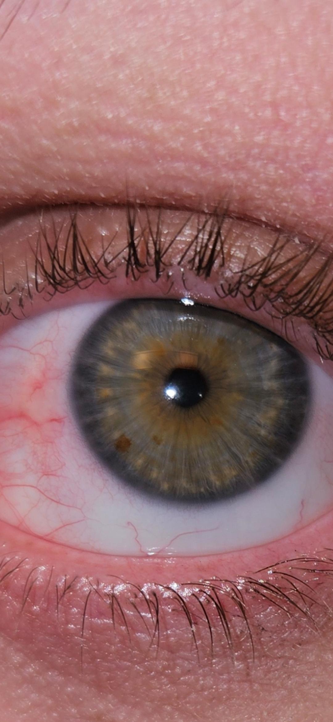 Hazel Eyes? | Scrolller