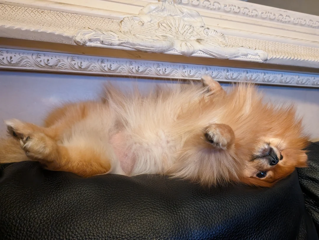 Completely blank stare | Scrolller