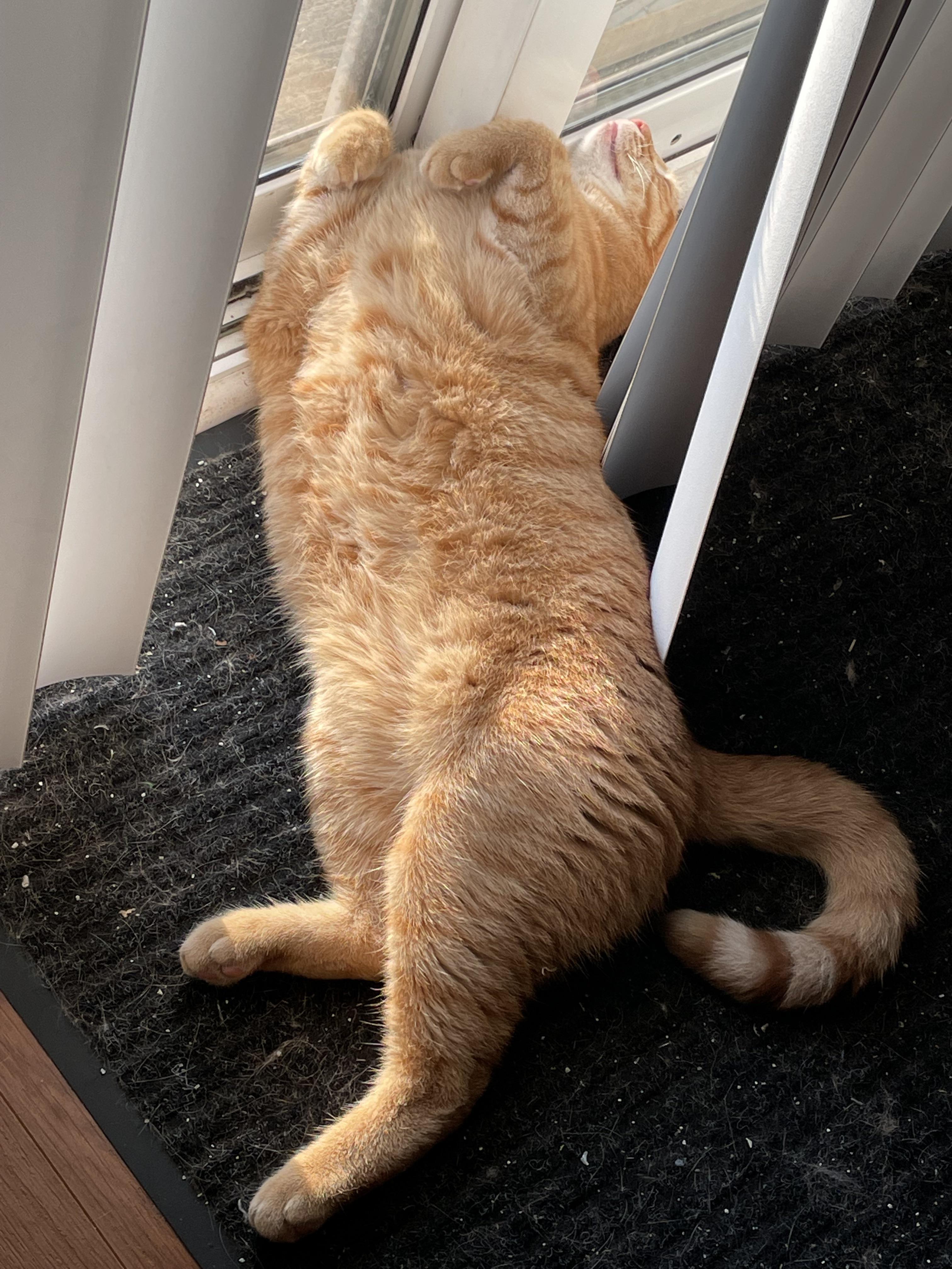 Sun’s out, Tum’s out! | Scrolller