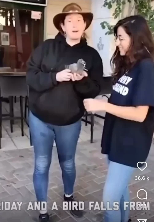 Teaching a bird to fly | Scrolller