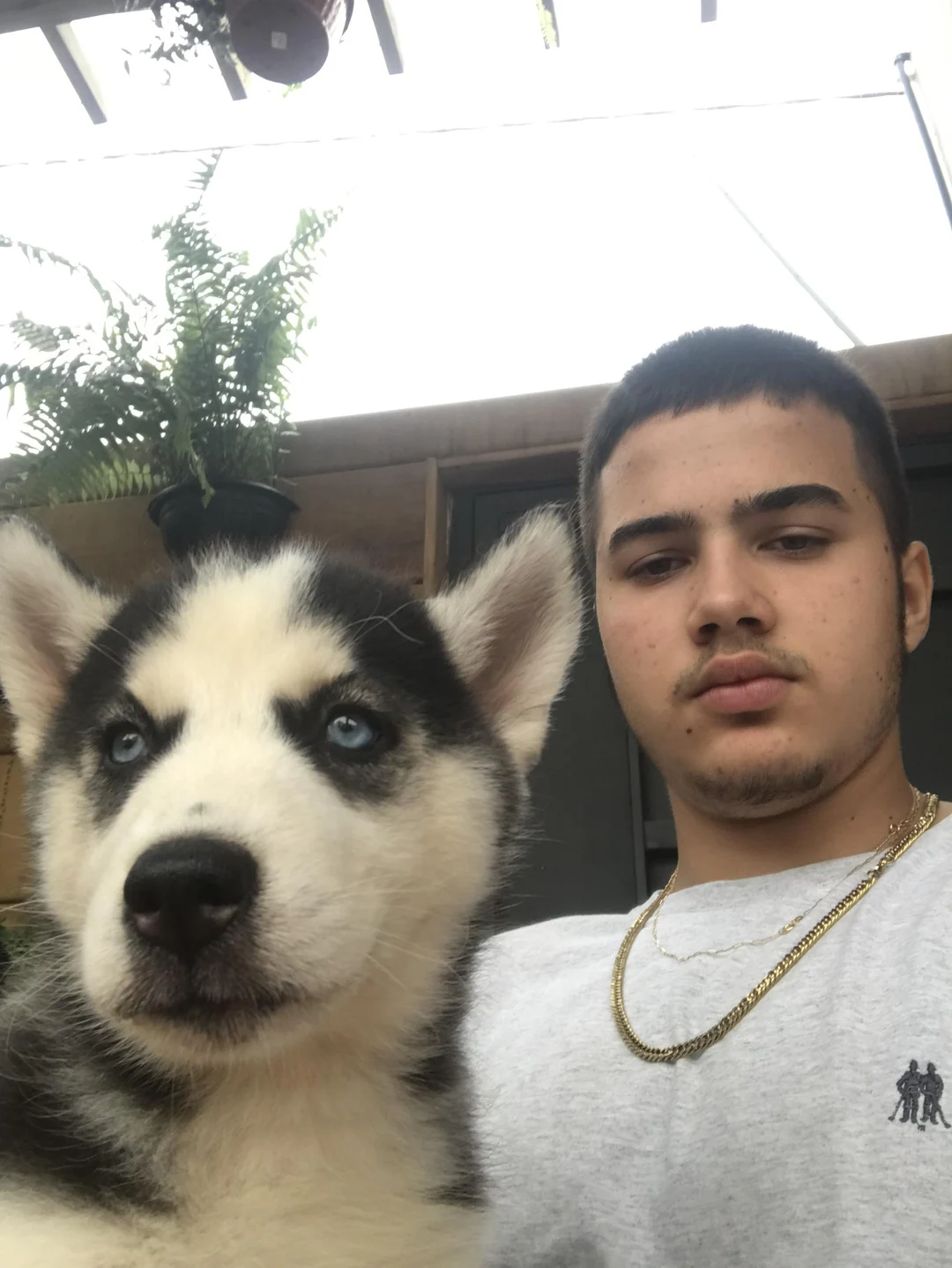 my little angel | Scrolller